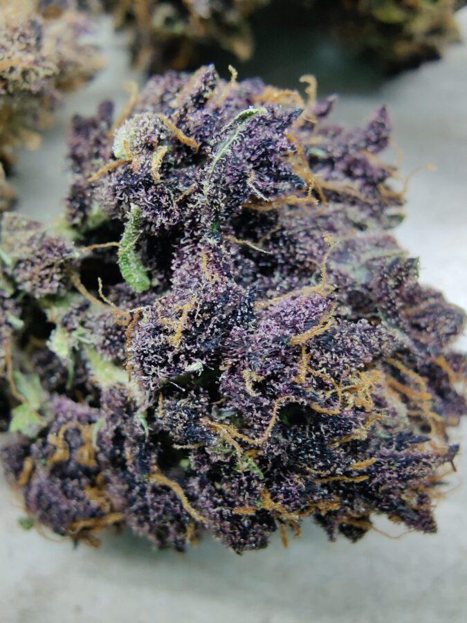Best Cannabis Dispensary Phuket Cannabis in Phuket Patong 90 Best Cannabis Dispensary Phuket Cannabis in Phuket Patong 90